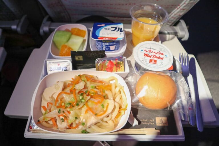 【エミレーツ航空】羽田からドバイ往復の機内食＆搭乗記ブログ | ダーリンと世界を旅したい